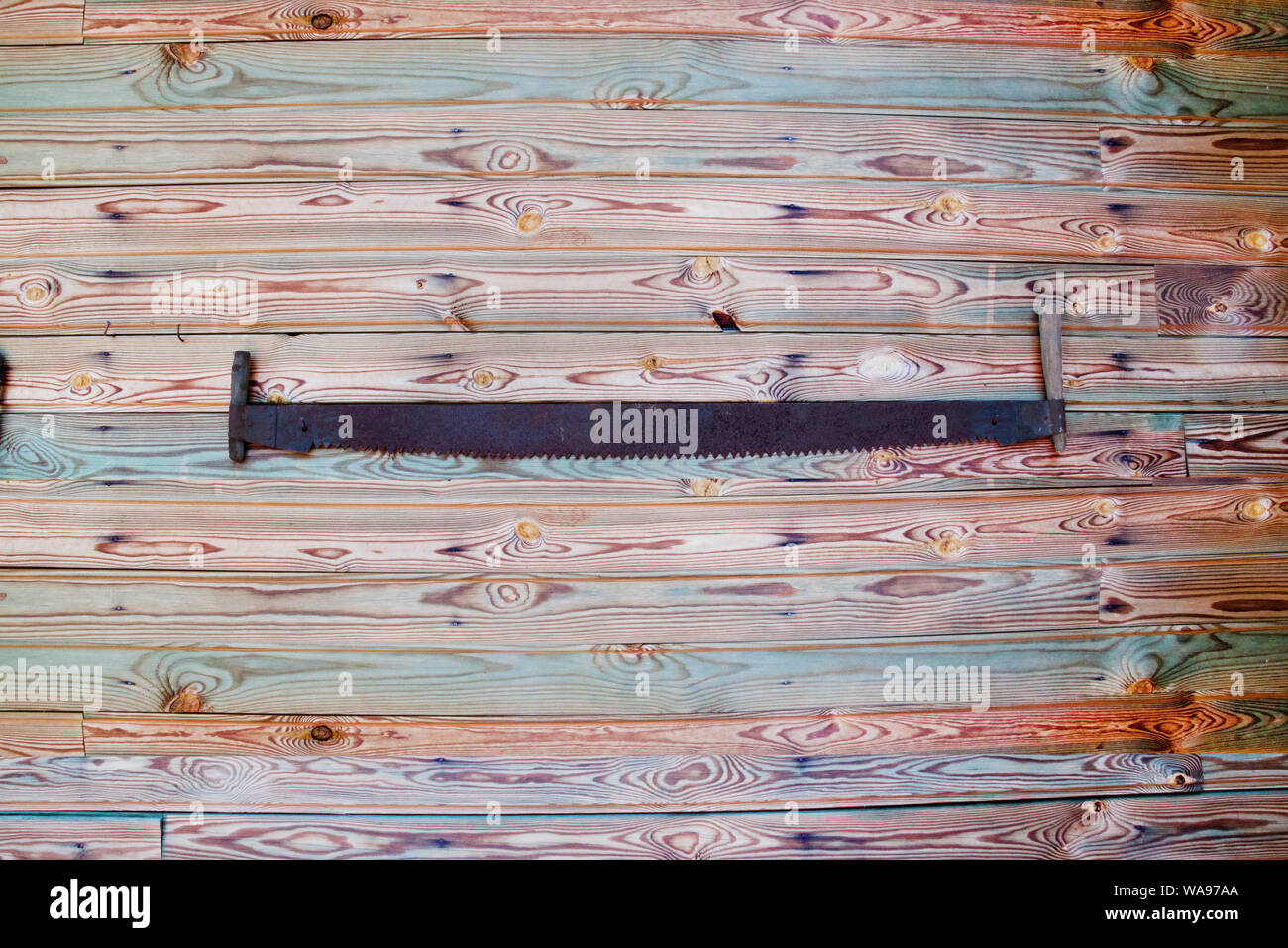 logging cross cut saw old timber tool Stock Photo - Alamy