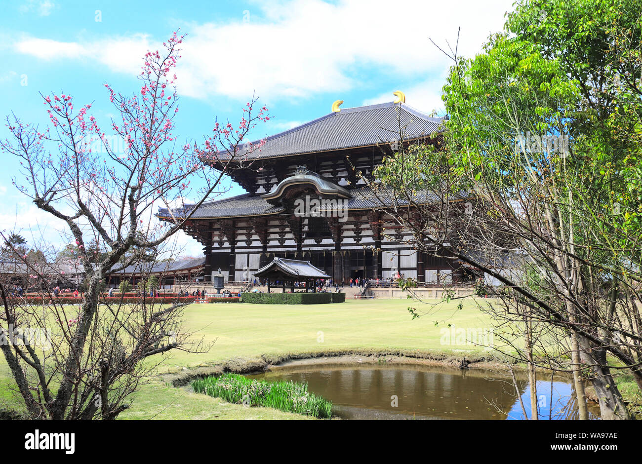 Todaiji Temple (Great Eastern Temple), one of the powerful Seven Great ...