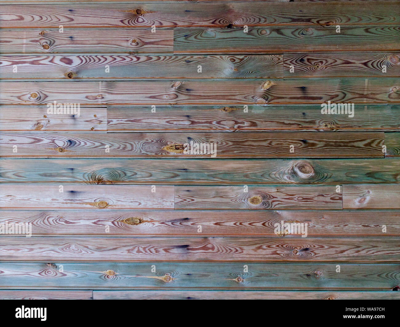 horizontal pine wood paneling, siding Stock Photo - Alamy