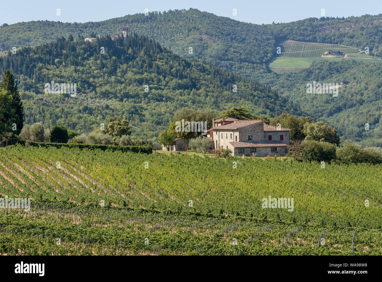 Chianti classico hi-res stock photography and images - Alamy