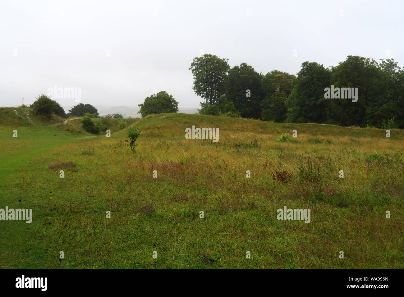 Danebury Hill Fort near Stockbridge, Hampshire Stock Photo - Alamy