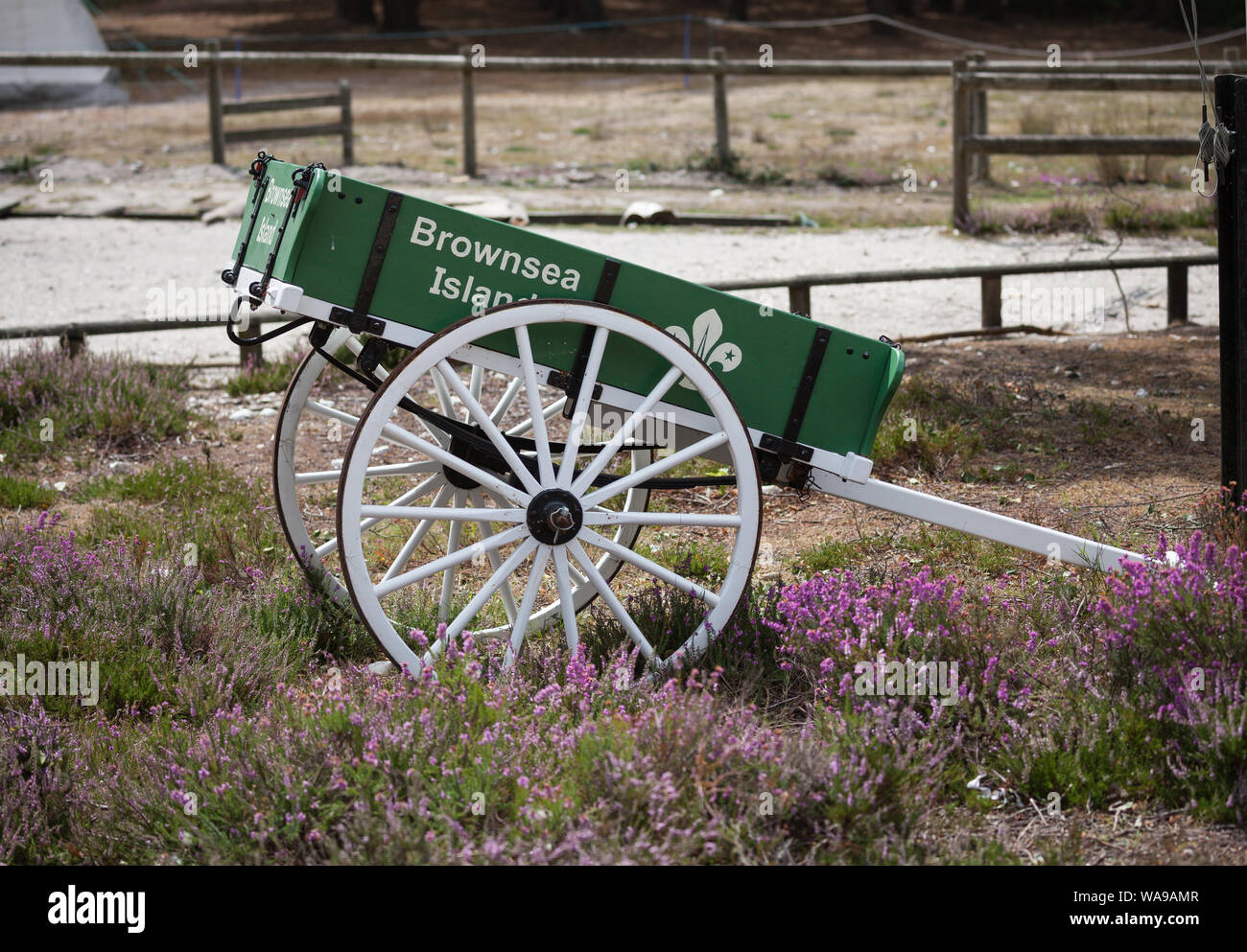 Baden Powell Scout High Resolution Stock Photography and Images - Alamy