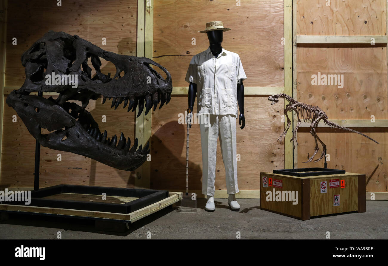 Jurassic park 1993 rex hi-res stock photography and images - Alamy