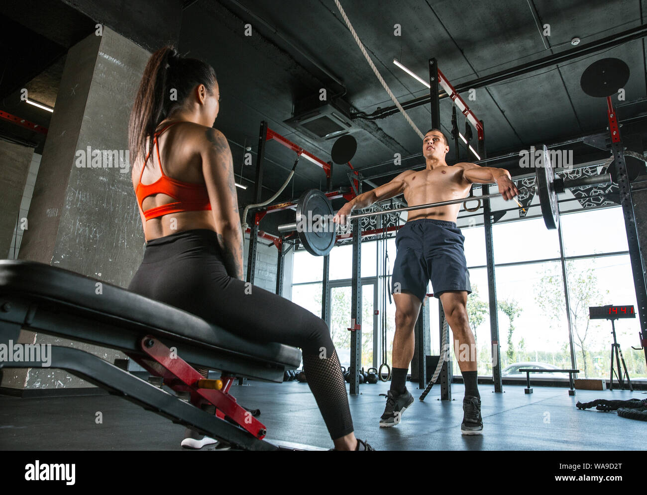A muscular athletes doing workout at the gym. Gymnastics, training ...