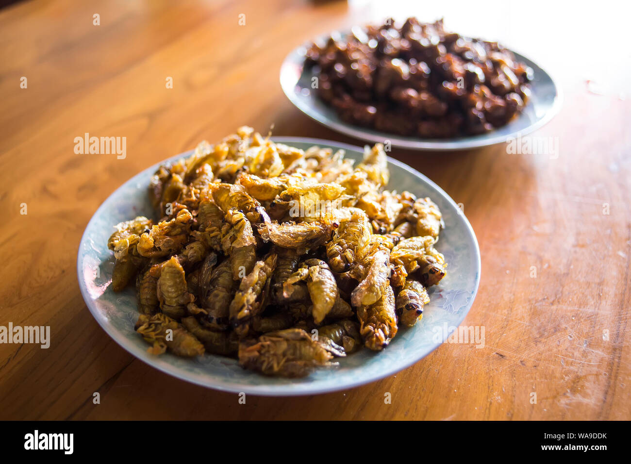 A dish of fried cicada sloughs made by the wife of Chinese man Zhang ...