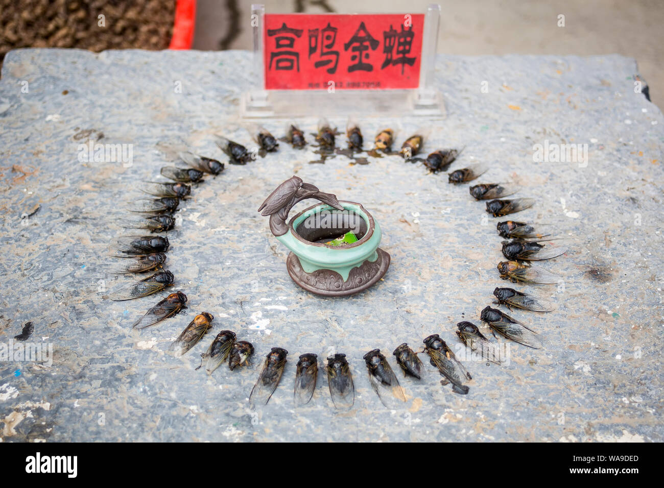 Fried cicadas made by the wife of Chinese man Zhang Shubiao, the "king ...