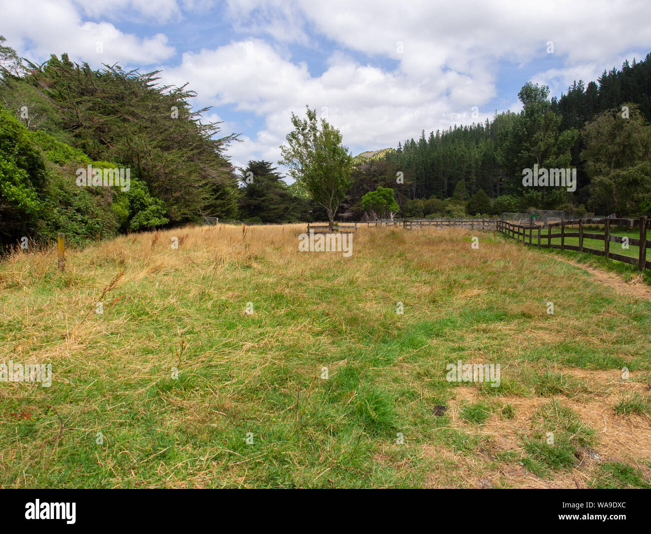 Paddock country hi-res stock photography and images - Alamy