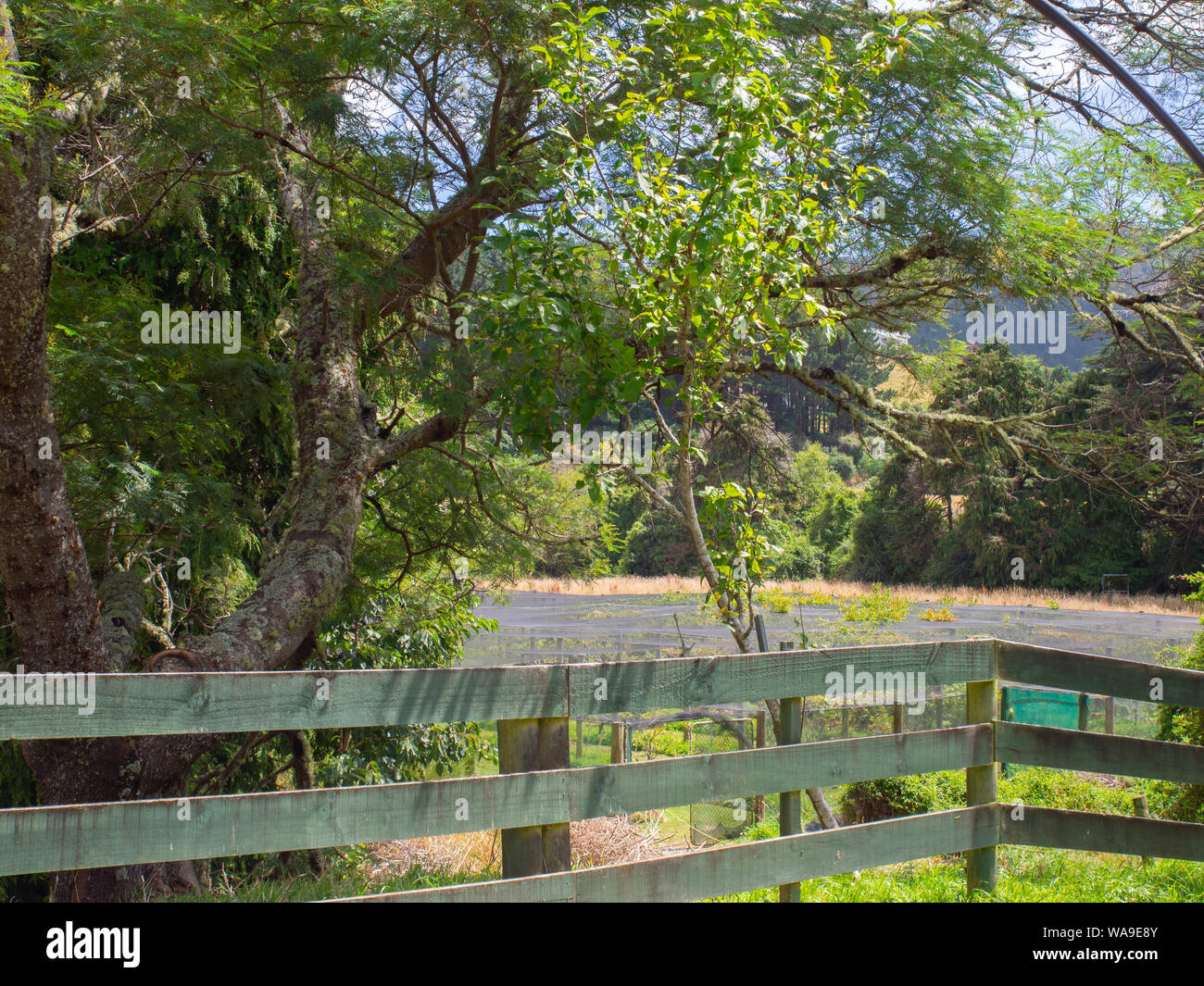 Farm paddocks hi-res stock photography and images - Alamy