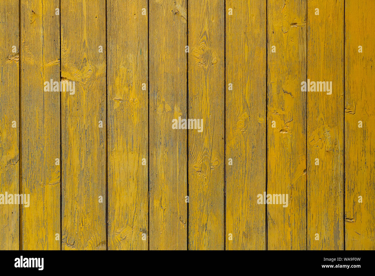 Close-up of a yellow wooden wall painted a very long time and the paint ...