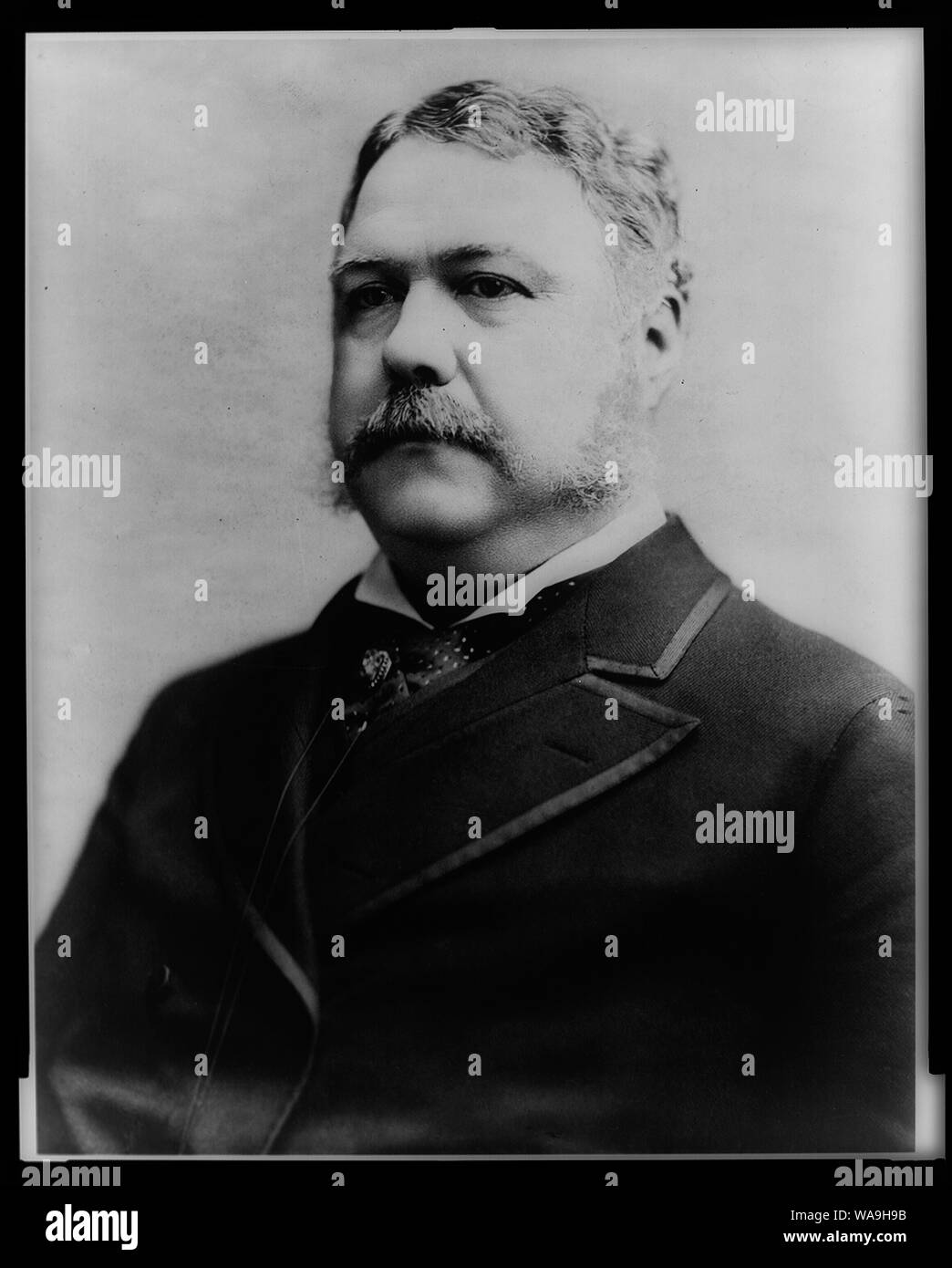 Chester A. Arthur, President of the United States Stock Photo - Alamy