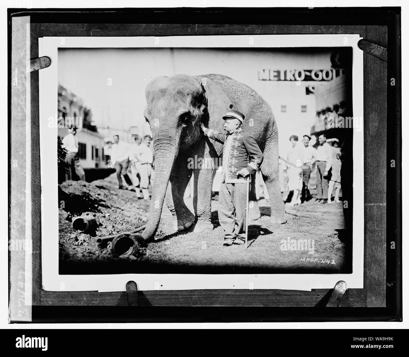 Great performer Black and White Stock Photos & Images - Alamy