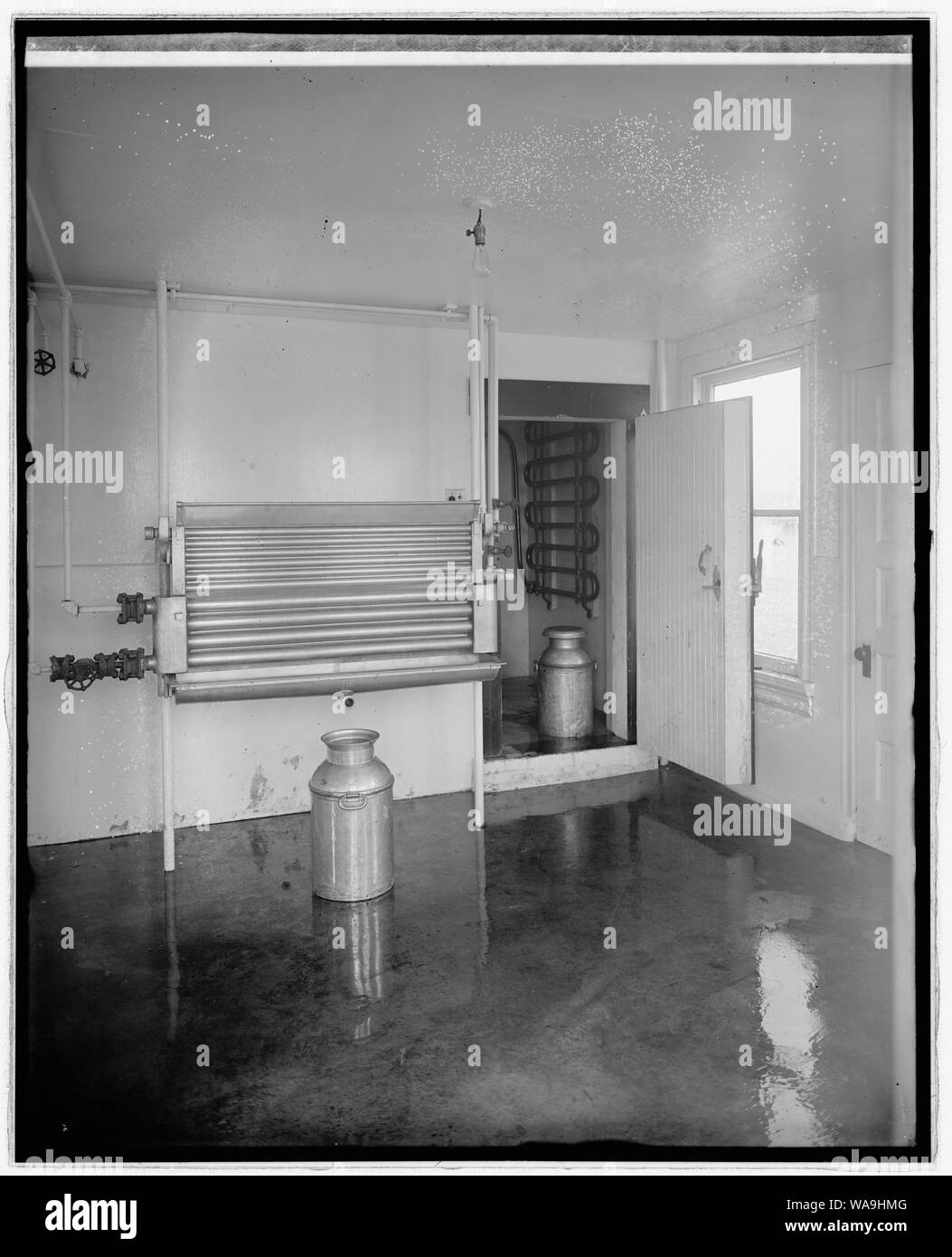 Chestnut farming Cut Out Stock Images & Pictures - Alamy