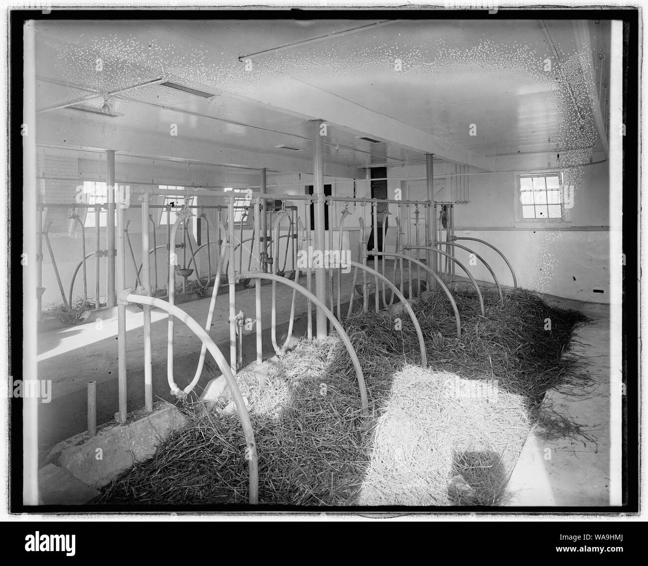 Chestnut industry Black and White Stock Photos & Images - Alamy