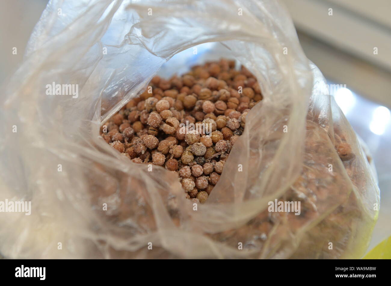 A tourist shows an ice cream added with Sichuan pepper at a store in ...