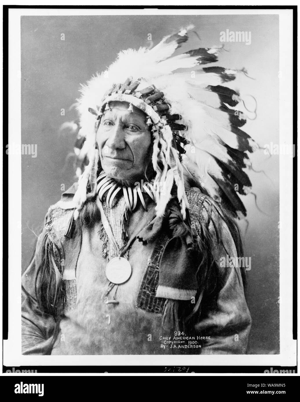 Chief American Horse Stock Photo - Alamy