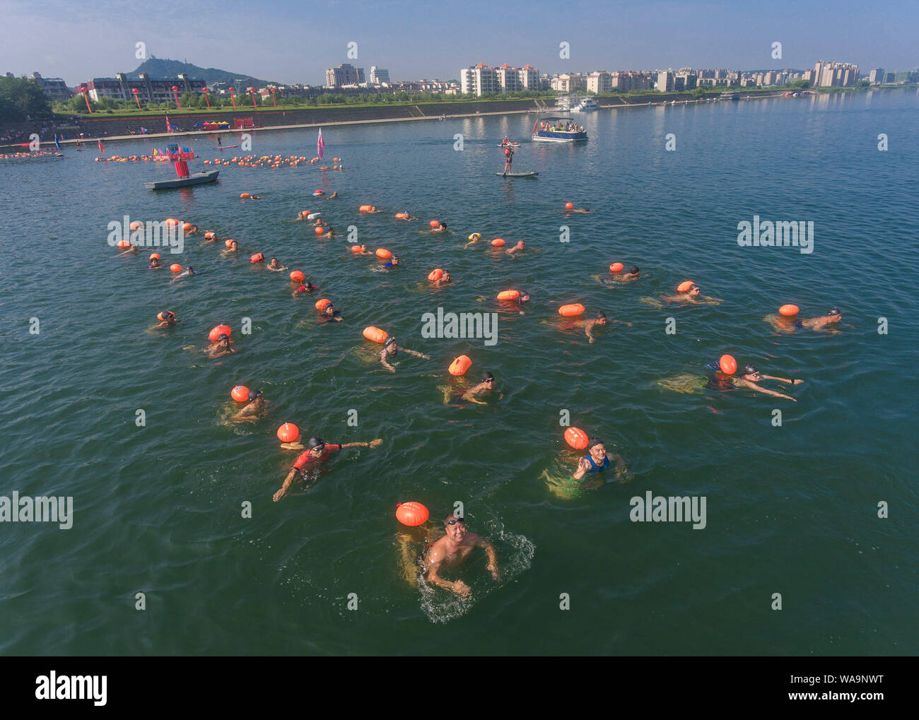 Participants compete in a swimming challenge to swim across the Han ...