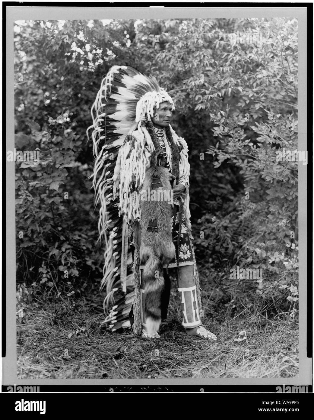 Cayuse hi-res stock photography and images - Alamy