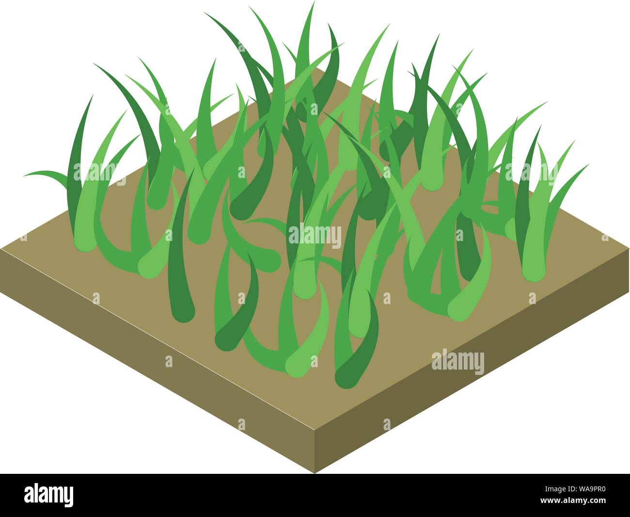 Grass soil land icon, isometric style Stock Vector Image & Art - Alamy