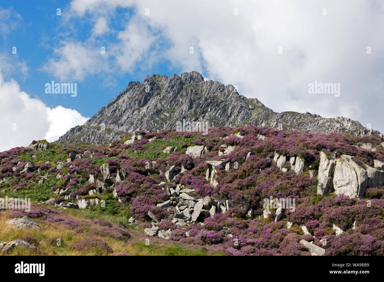 Tryfan is a mountain in the Glyderau Range in the Snowdonia National ...