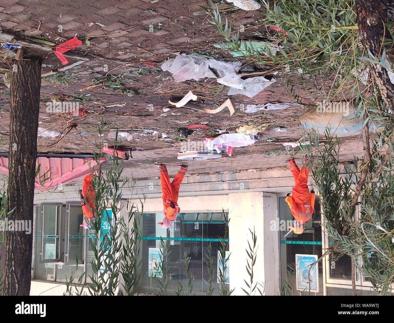 Trees are uprooted by strong winds caused by a tornado in Kaiyuan city ...