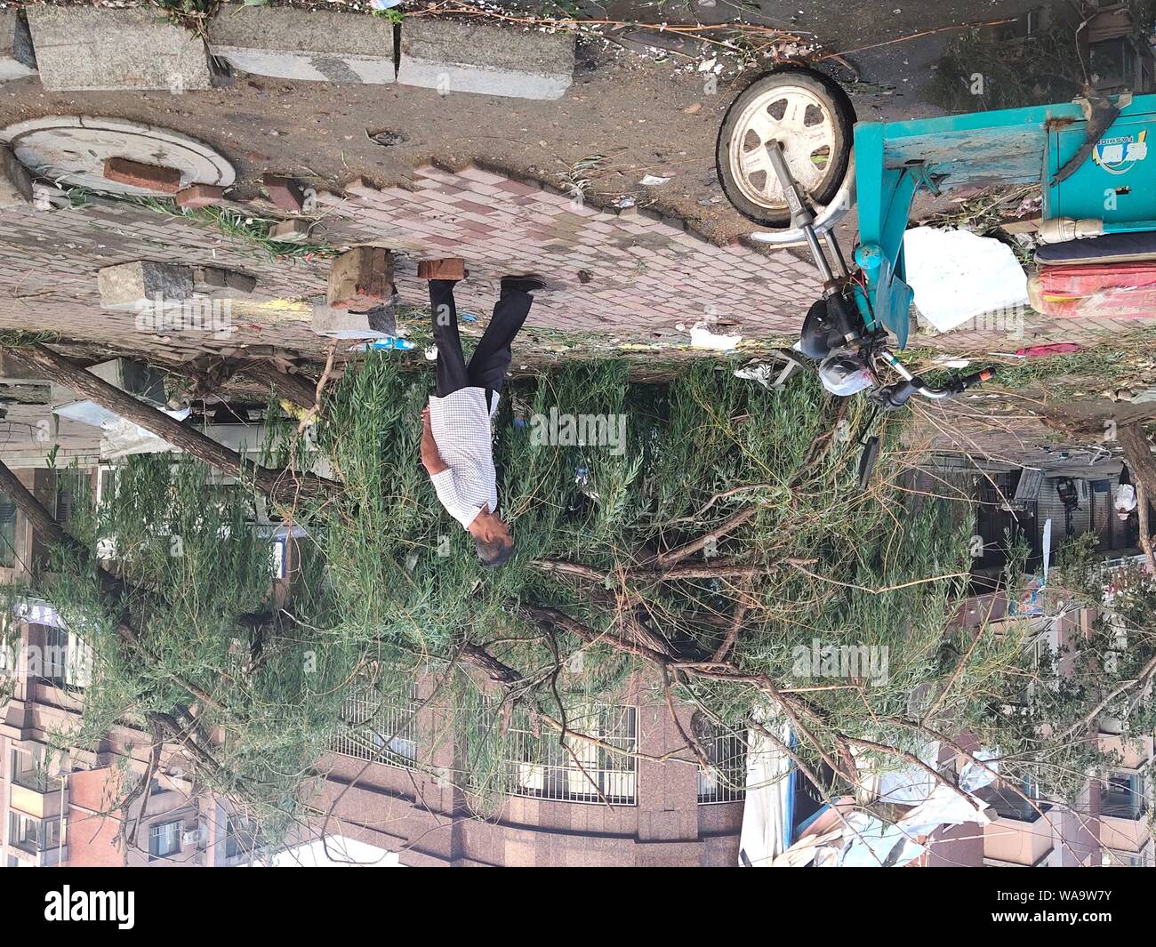 Strong wind trees people hi-res stock photography and images - Alamy