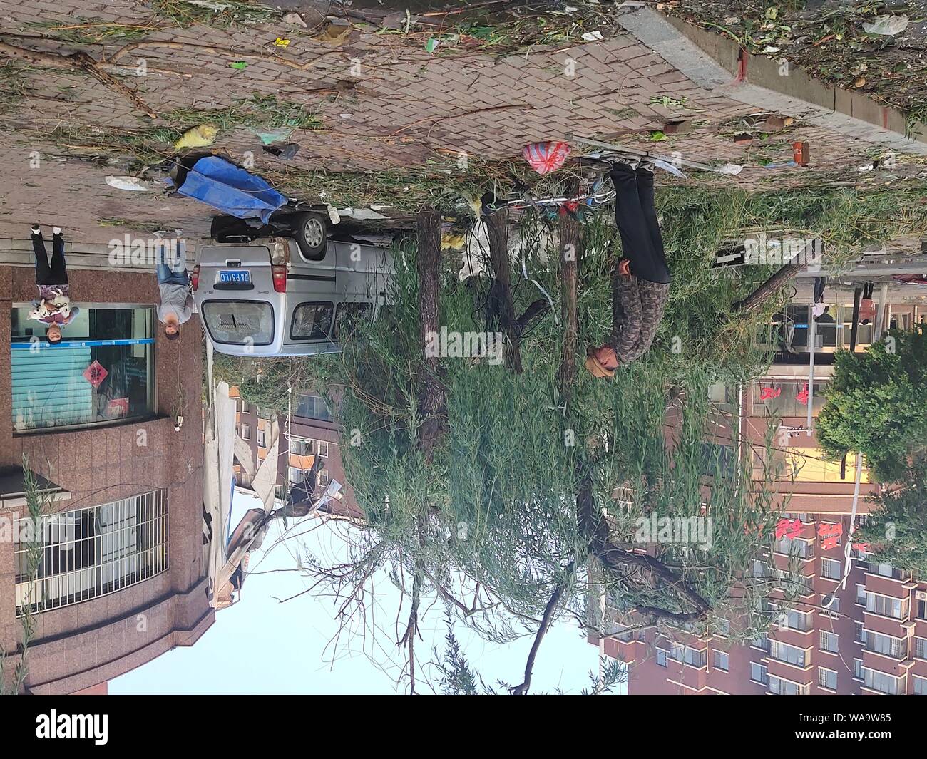 Strong wind trees people hi-res stock photography and images - Alamy