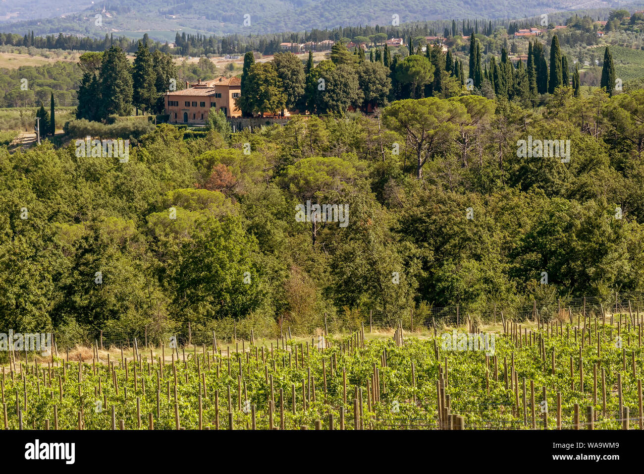 Typical landscape of Chianti classico in the municipality of Greve ...