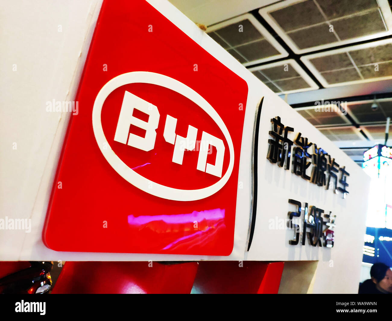 --FILE--View of the stand of BYD during an automobile exhibition in Ji ...
