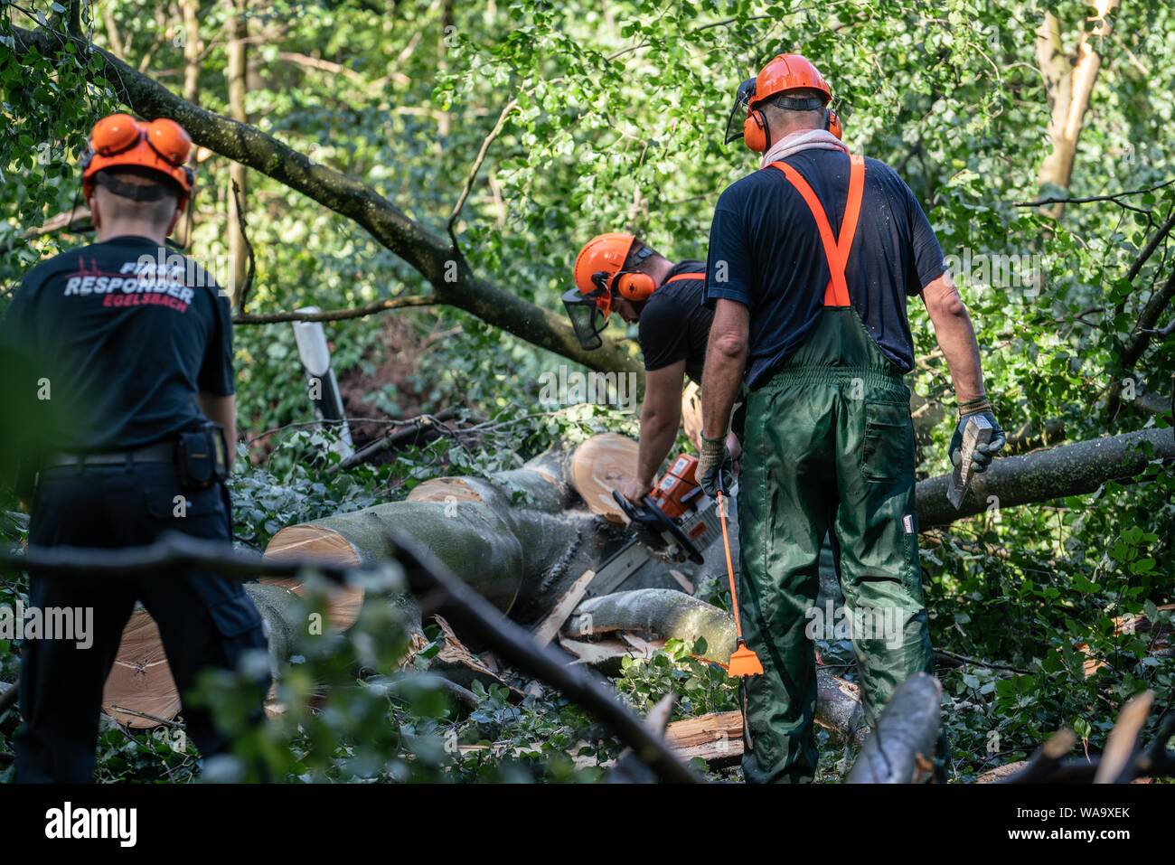 Overturned trees hi-res stock photography and images - Alamy