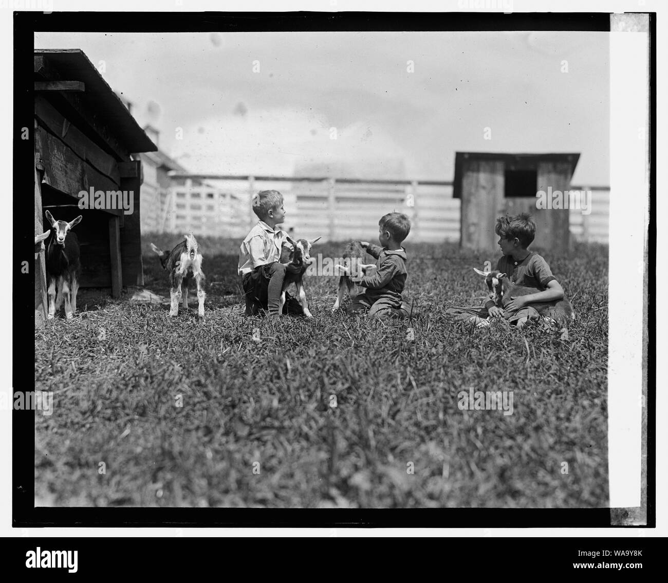 Children with goats Black and White Stock Photos & Images - Alamy