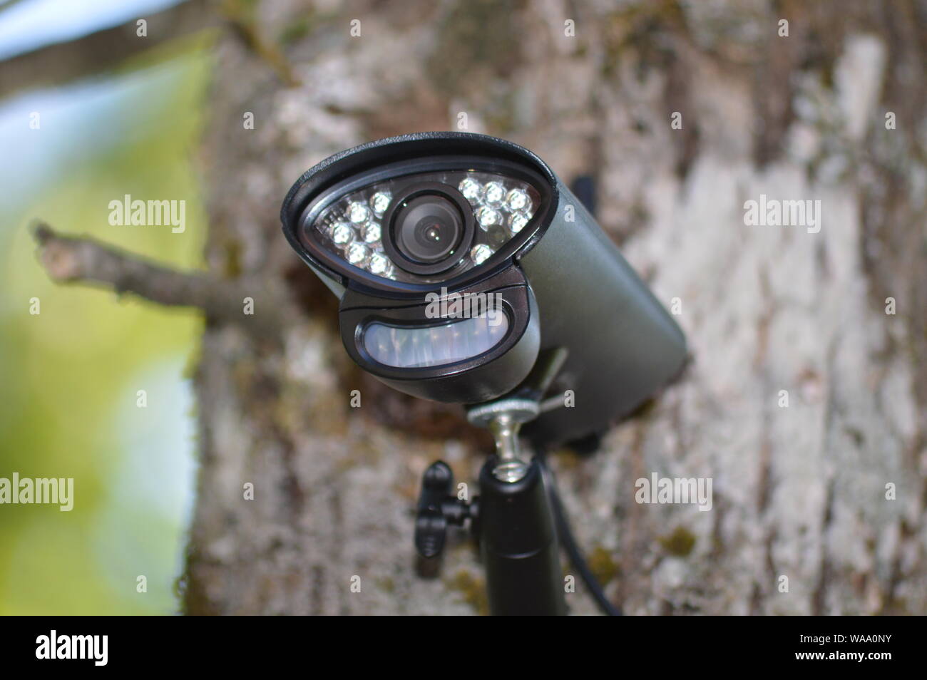 Closeup on a video surveillance camera in the forest Stock Photo - Alamy