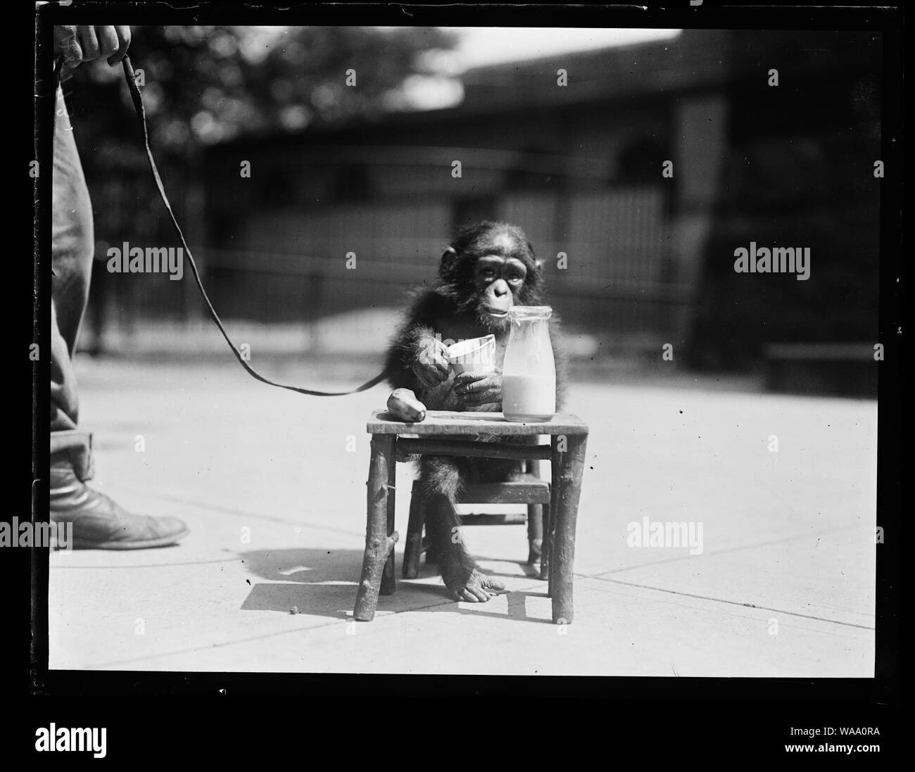 Behavioral training Black and White Stock Photos & Images - Alamy