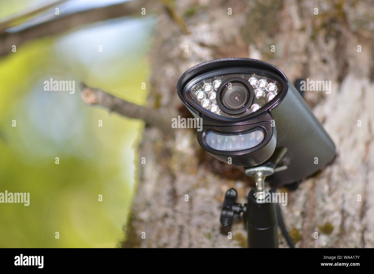 Closeup on a video surveillance camera in the forest Stock Photo - Alamy