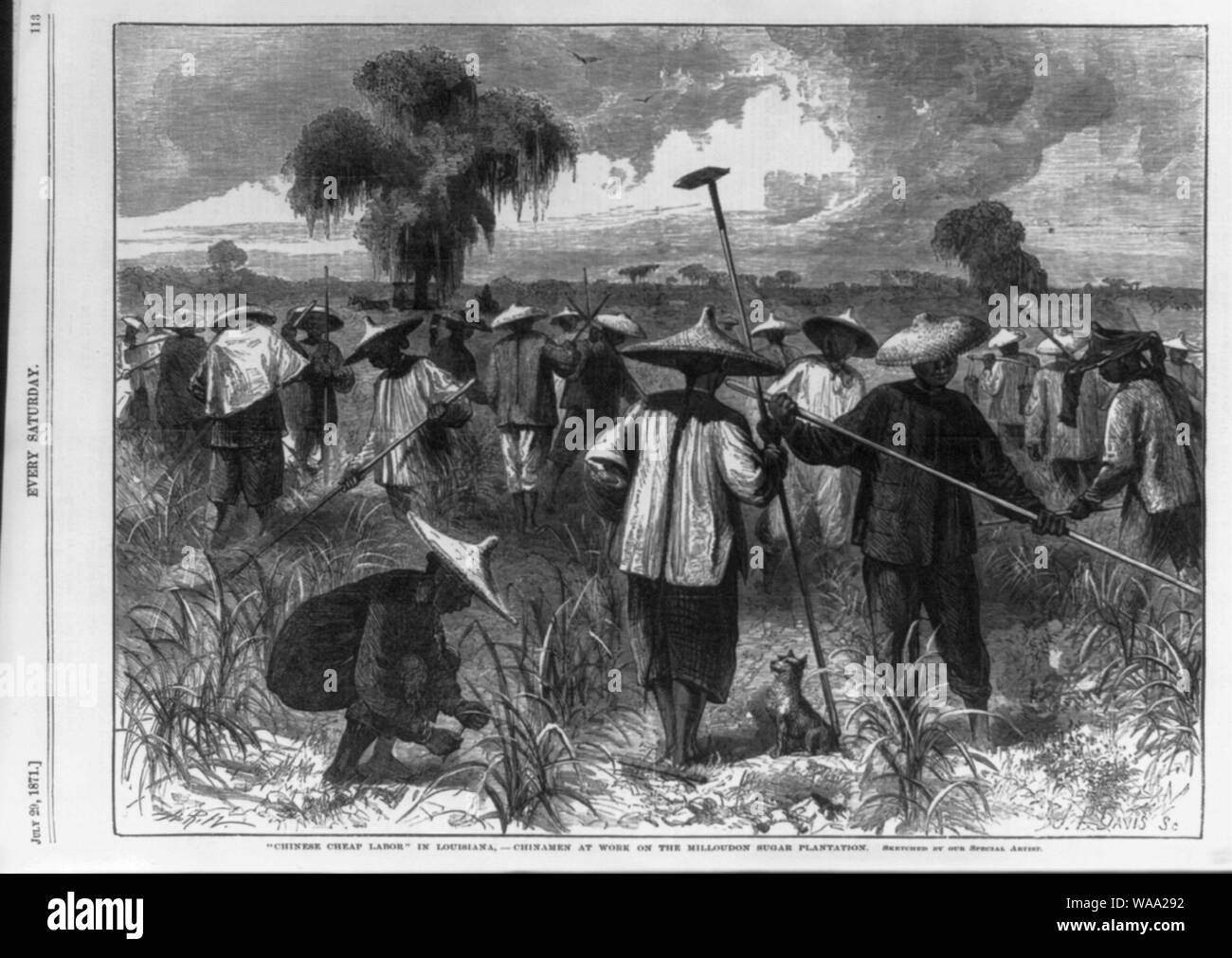 Chinese cheap labor in Louisiana - Chinamen at work on the Milloudon ...
