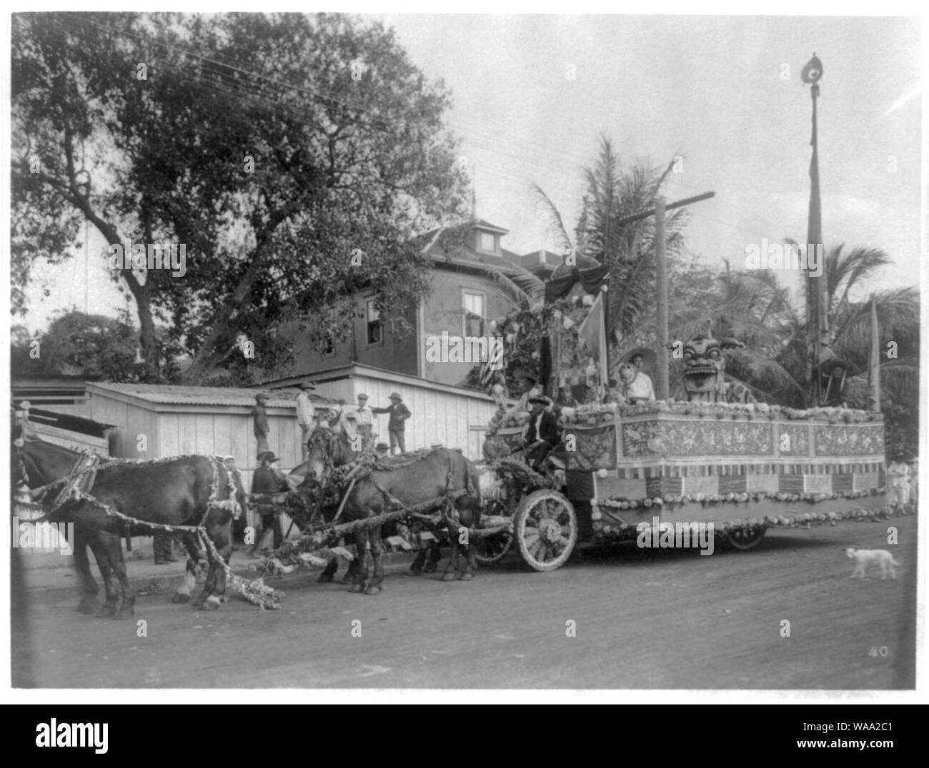 Chinese float in a Hawaiian festival Stock Photo - Alamy