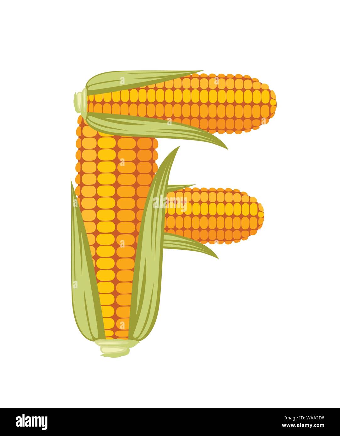 Vegetable letter F corn style cartoon vegetable design flat vector ...
