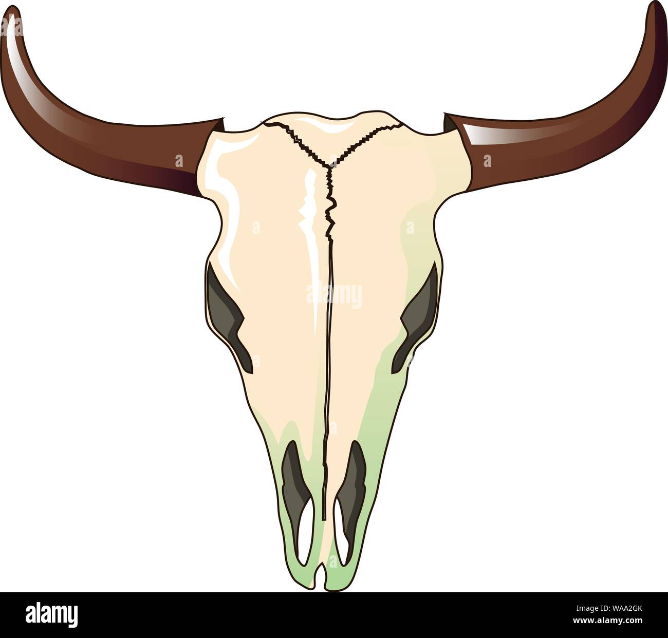 Cow skull icon, cartoon style Stock Vector Image & Art - Alamy