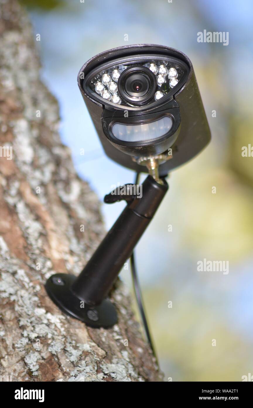Closeup on a video surveillance camera in the forest Stock Photo - Alamy