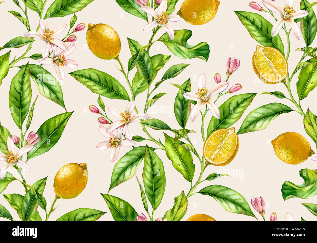 Lemon branch seamless watercolor pattern. Fruit tree with flowers ...