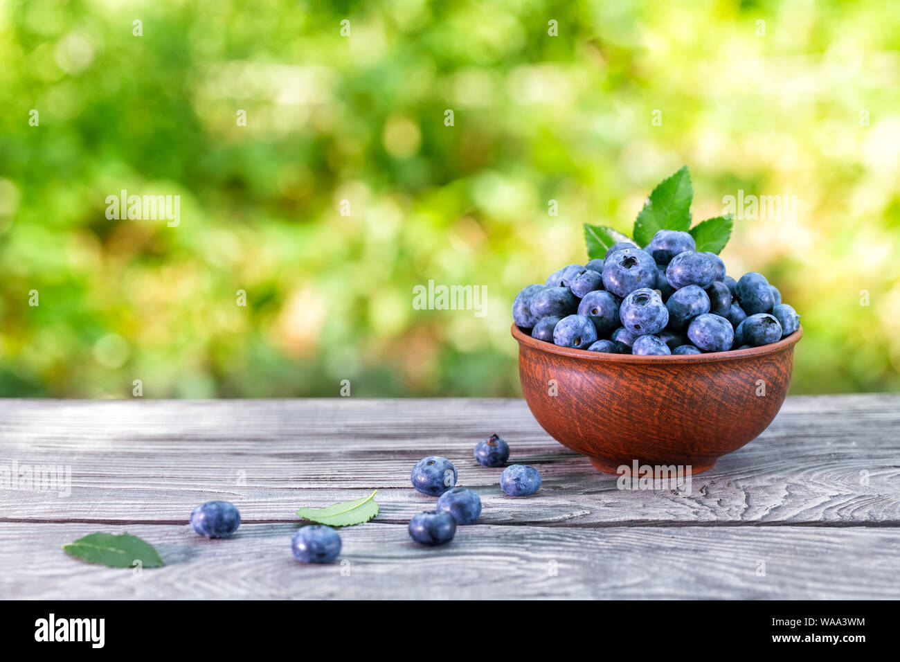 Blueberry berries in clay bowl Stock Photo - Alamy