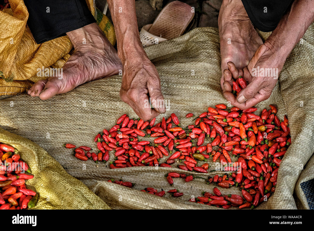 Old spice man hi-res stock photography and images - Alamy