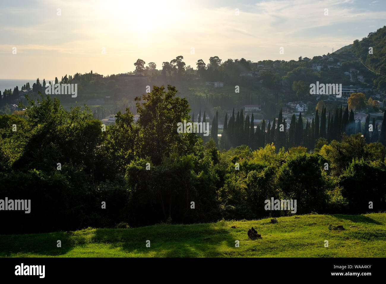 A town among greenery on a slope in the rays of the setting sun Stock ...
