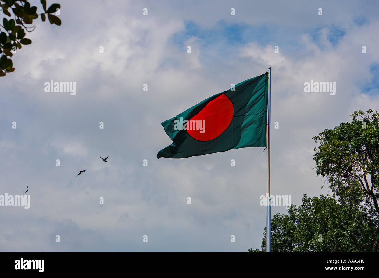 Flag of the Bangladesh, Freedom Square, Shahbagh-Dhaka-Bangladesh Stock ...