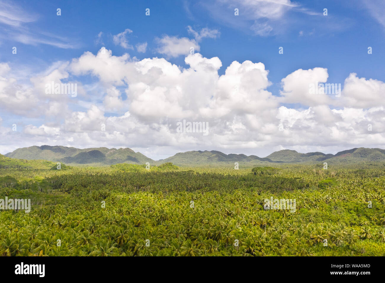 Hills with rainforest, aerial view. Tropical landscape with the jungle ...