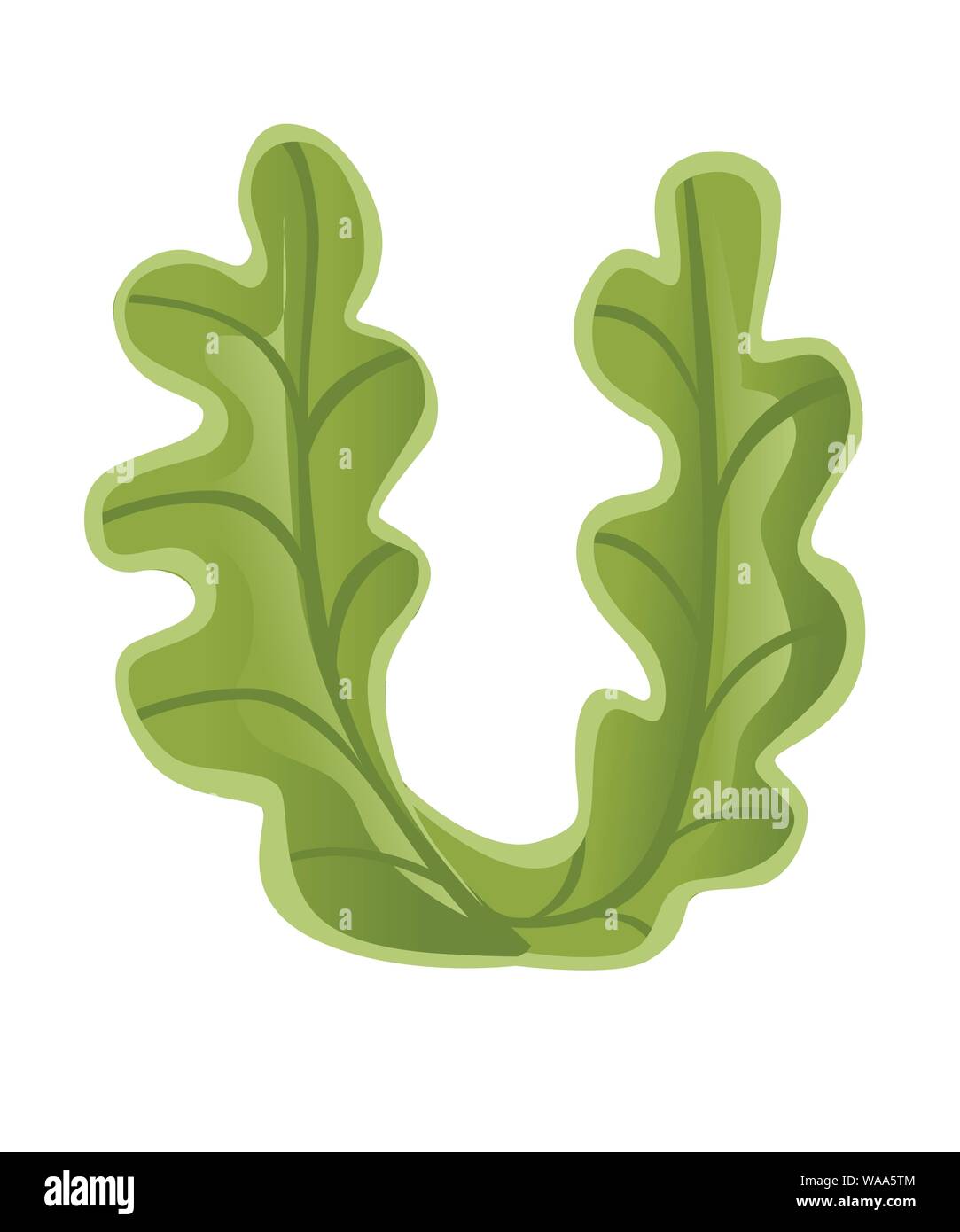Vegetable letter U lettuce style cartoon vegetable design flat vector ...