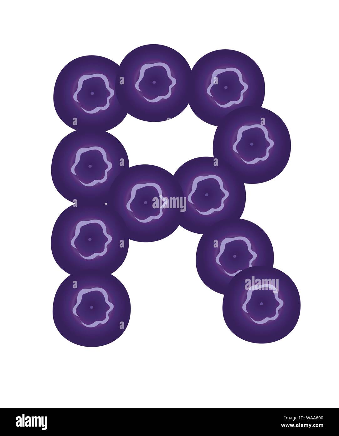 Fruit letter R blueberry style cartoon fruit design flat vector ...