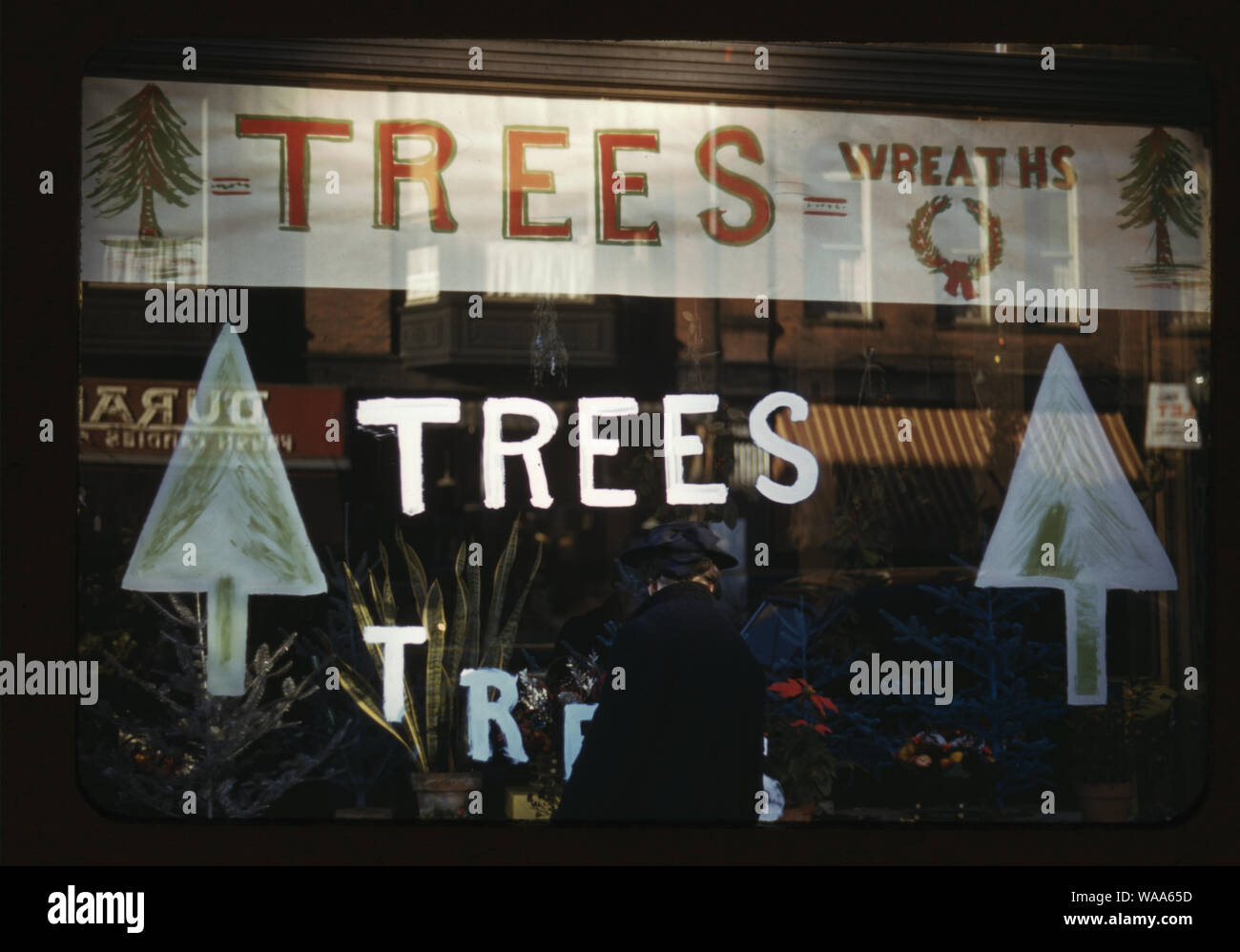 Christmas trees and wreaths in store window display Stock Photo - Alamy