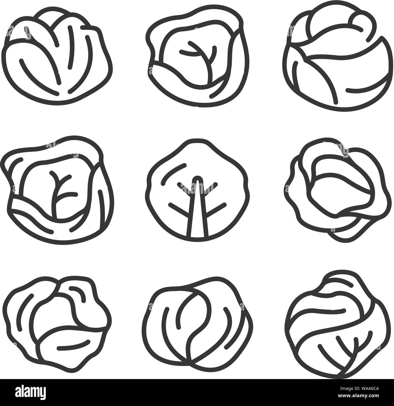 Cabbage icons set, outline style Stock Vector Image & Art - Alamy