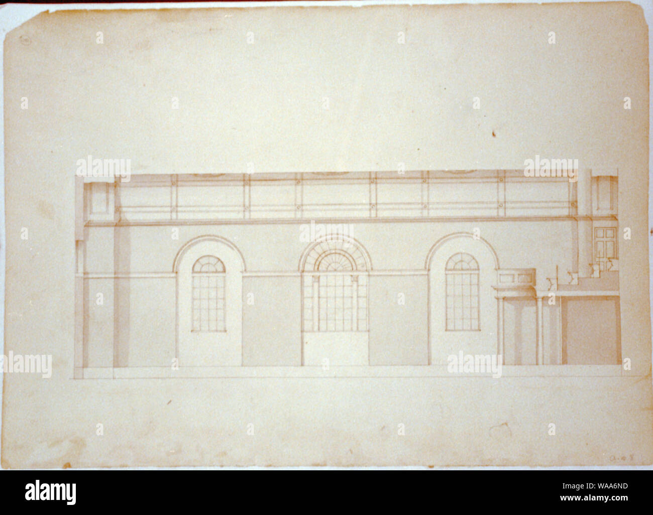 Longitudinal Section Showing High Resolution Stock Photography and ...