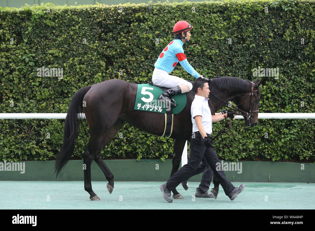 Dirndl (Yuichi Kitamura), AUGUST 18, 2019 - Horse Racing : Dirndl ...
